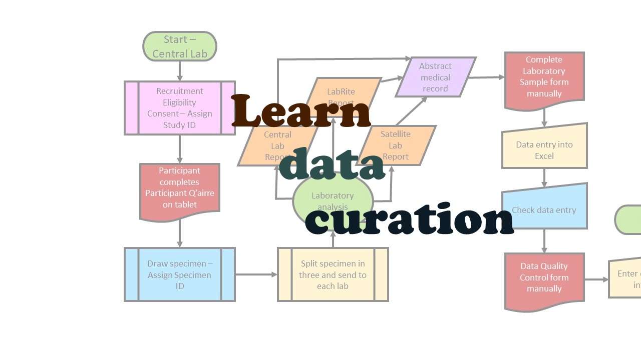 Announcing my New(-ish) Data Curation Course on LinkedIn Learning! - DethWench Professional Services