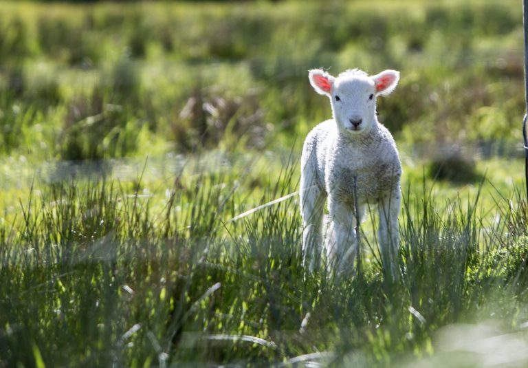 Making Upset Plots with R Package UpSetR Helps Visualize Patterns of ...